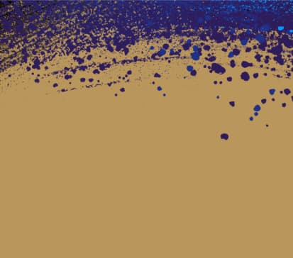 Guinness Open Gate Brewery | Chicago Restaurant | Menu